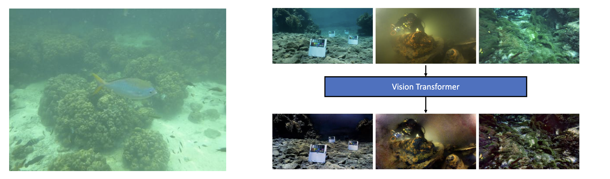 Vision Transformer for Underwater Image Enhancement - Wang Beijia / Kathy